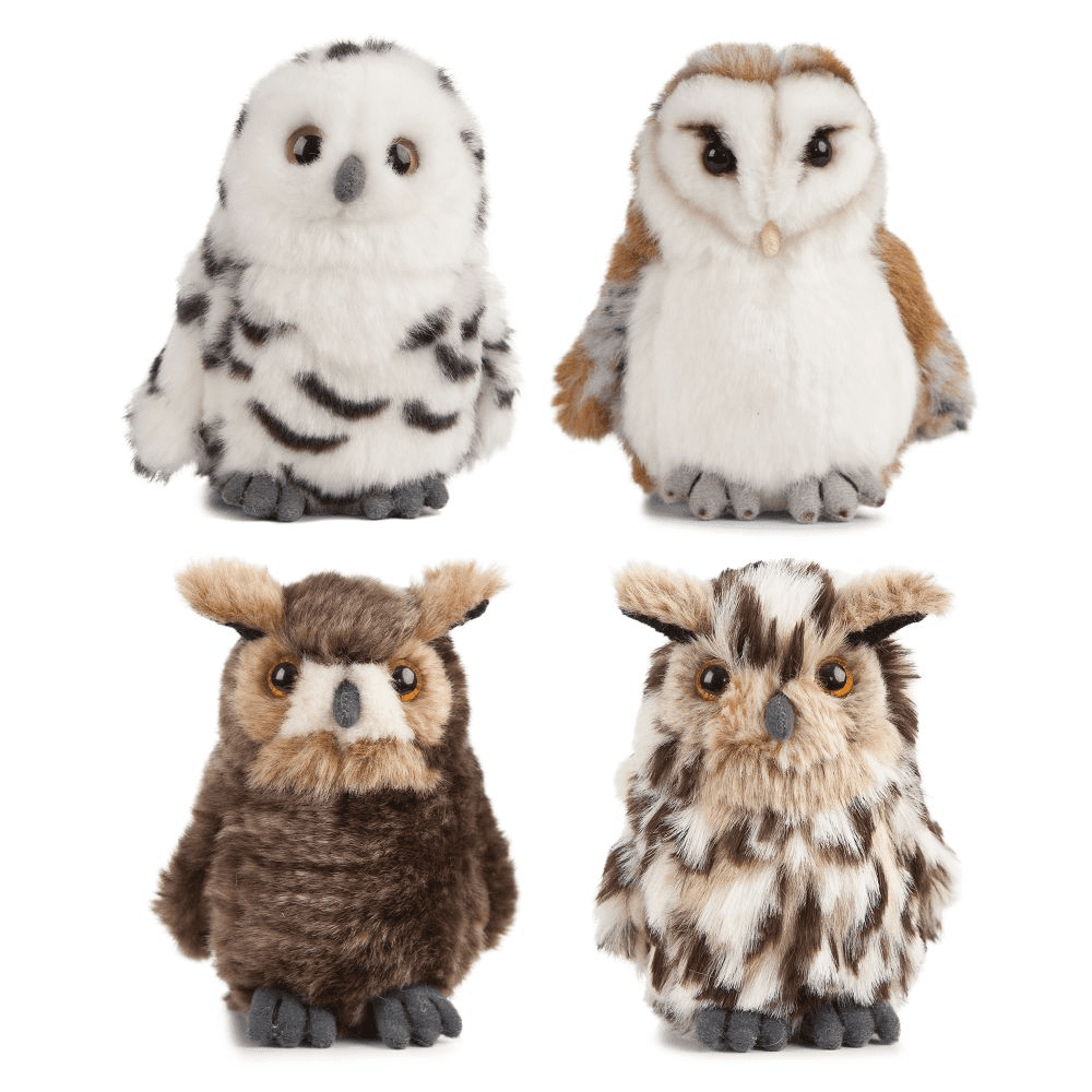 Living Nature Owls | Wild Zoological Park